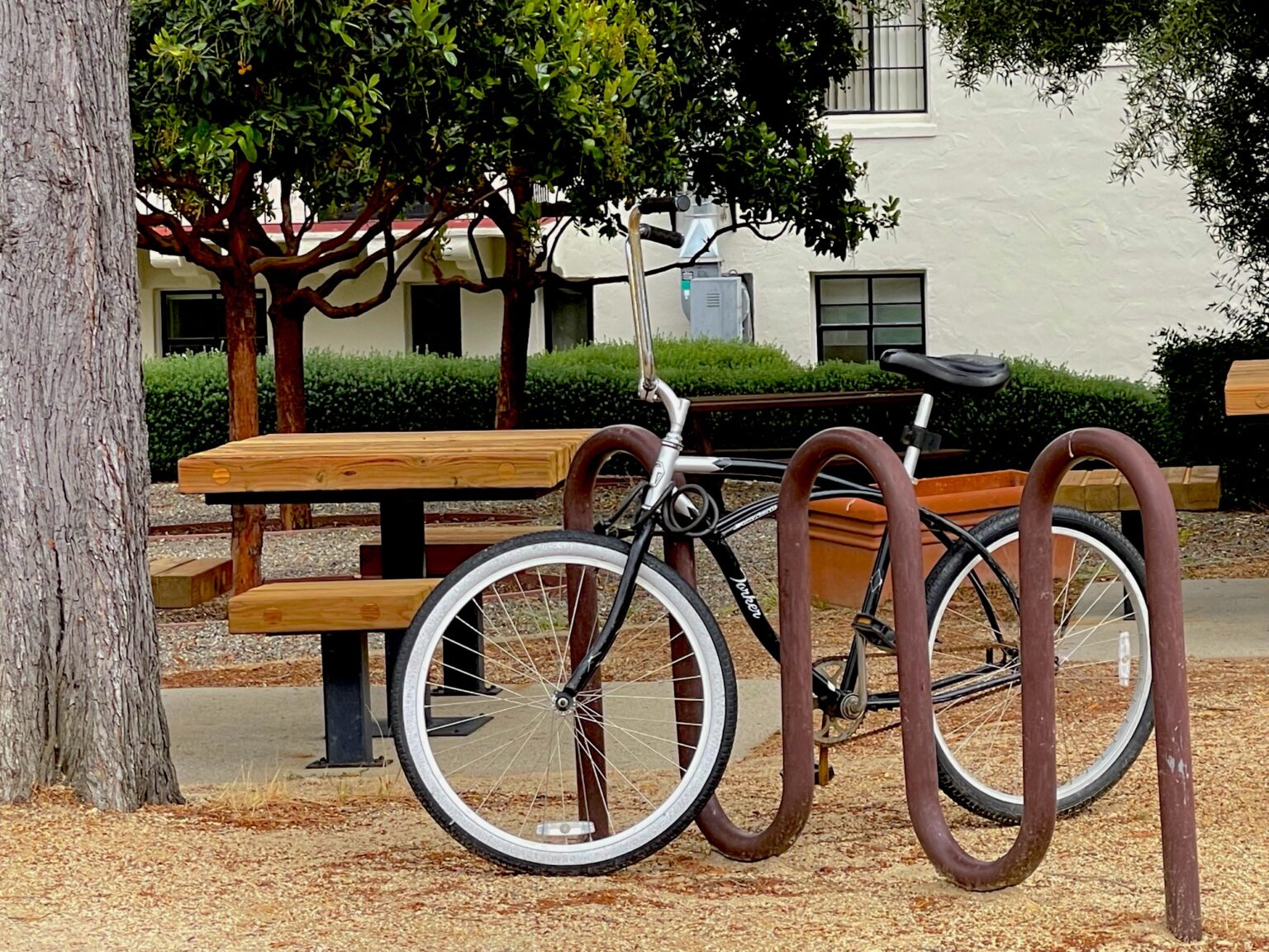 Voices of People Who Bike, Part 1: Who bikes, why, and memories ...